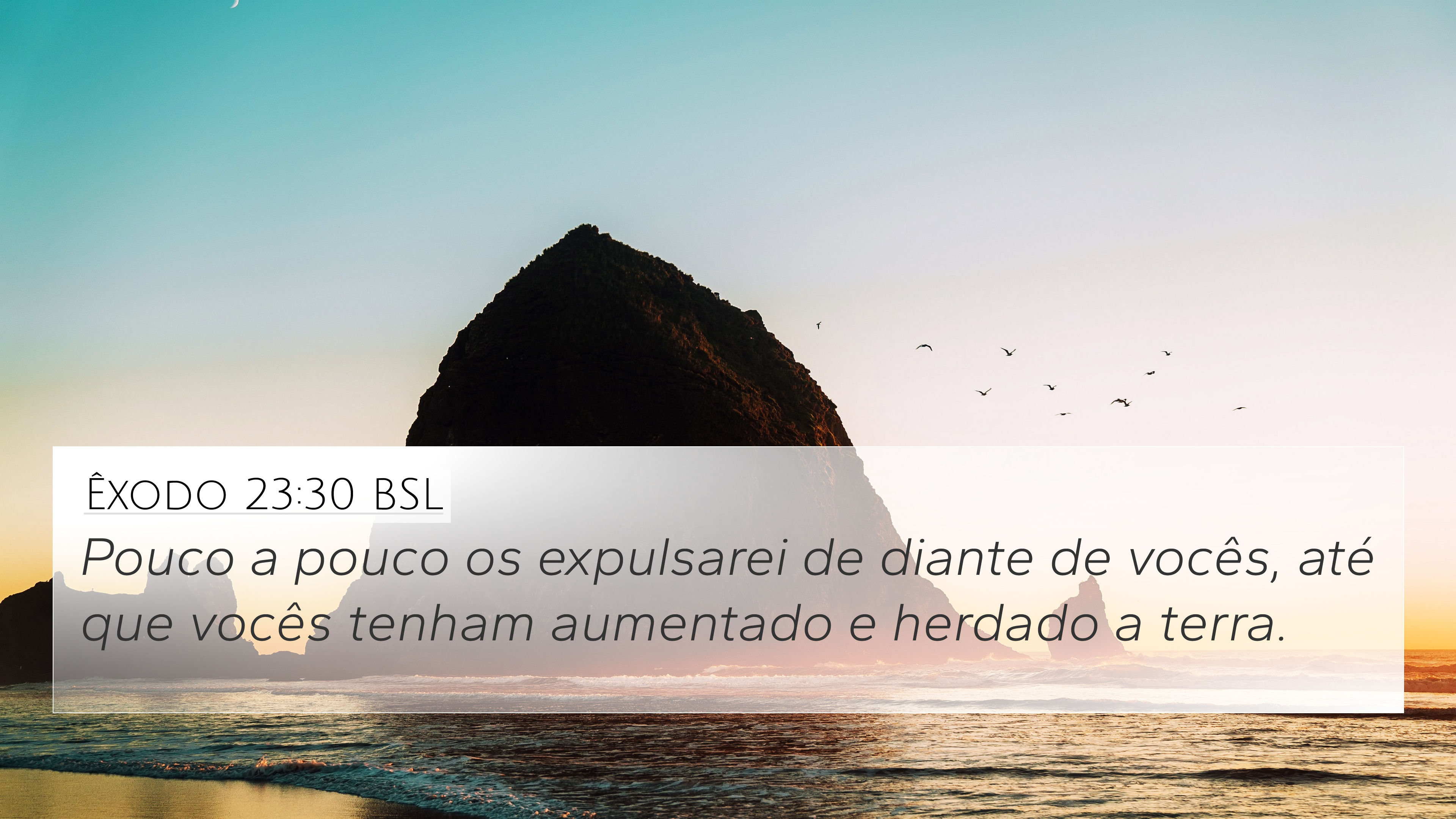 Êxodo 23:30 BSL 4K Wallpaper - Pouco a pouco os expulsarei de diante de ...