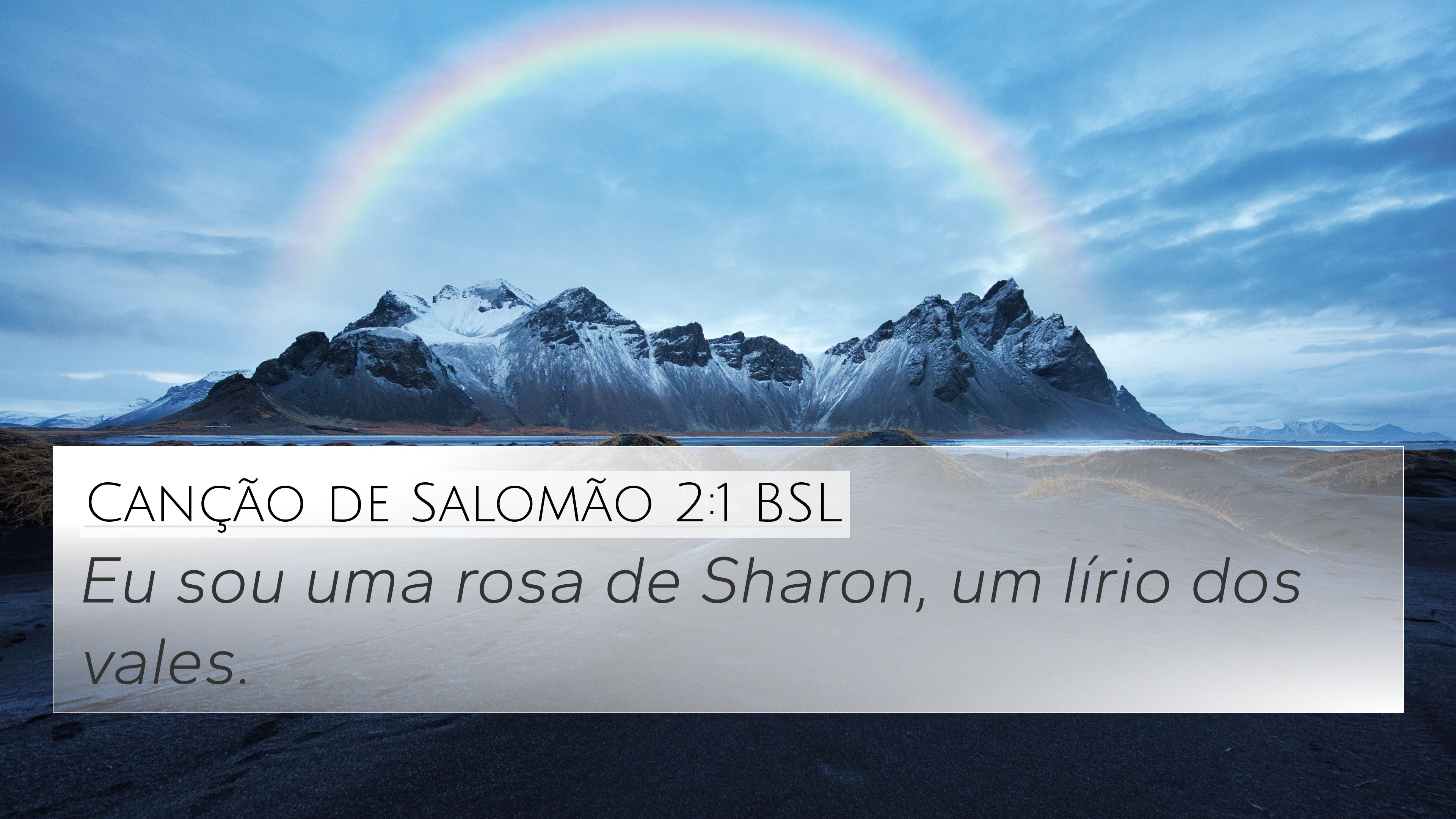 Canção de Salomão 2:1 BSL 4K Wallpaper - Eu sou uma rosa de Sharon, um ...