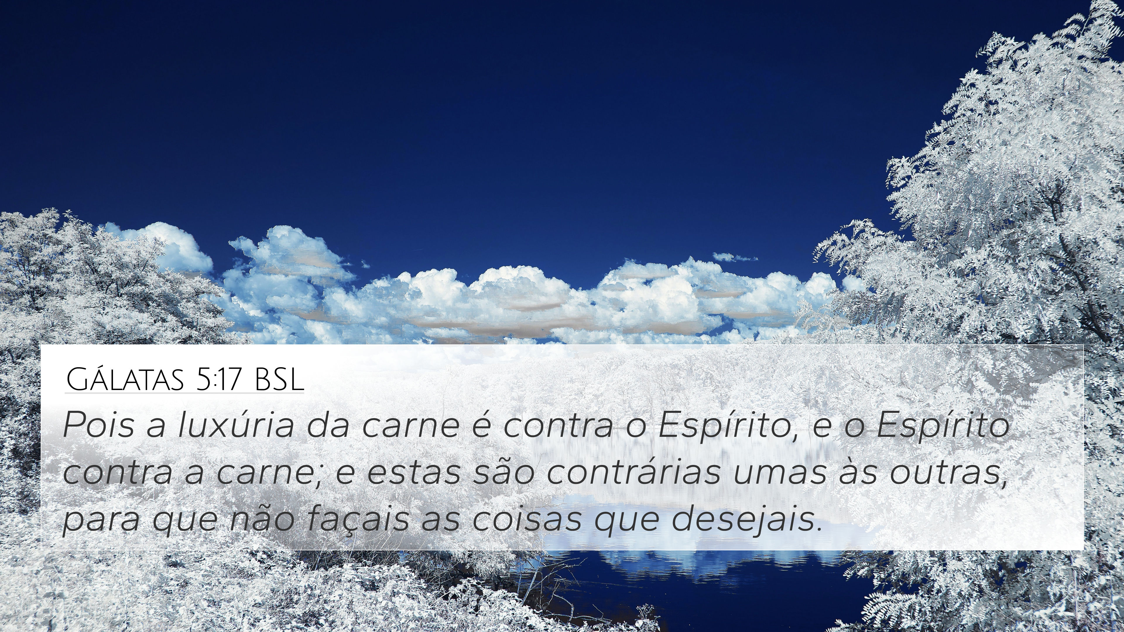 Gálatas 5:17 BSL 4K Wallpaper - Pois a luxúria da carne é contra o ...