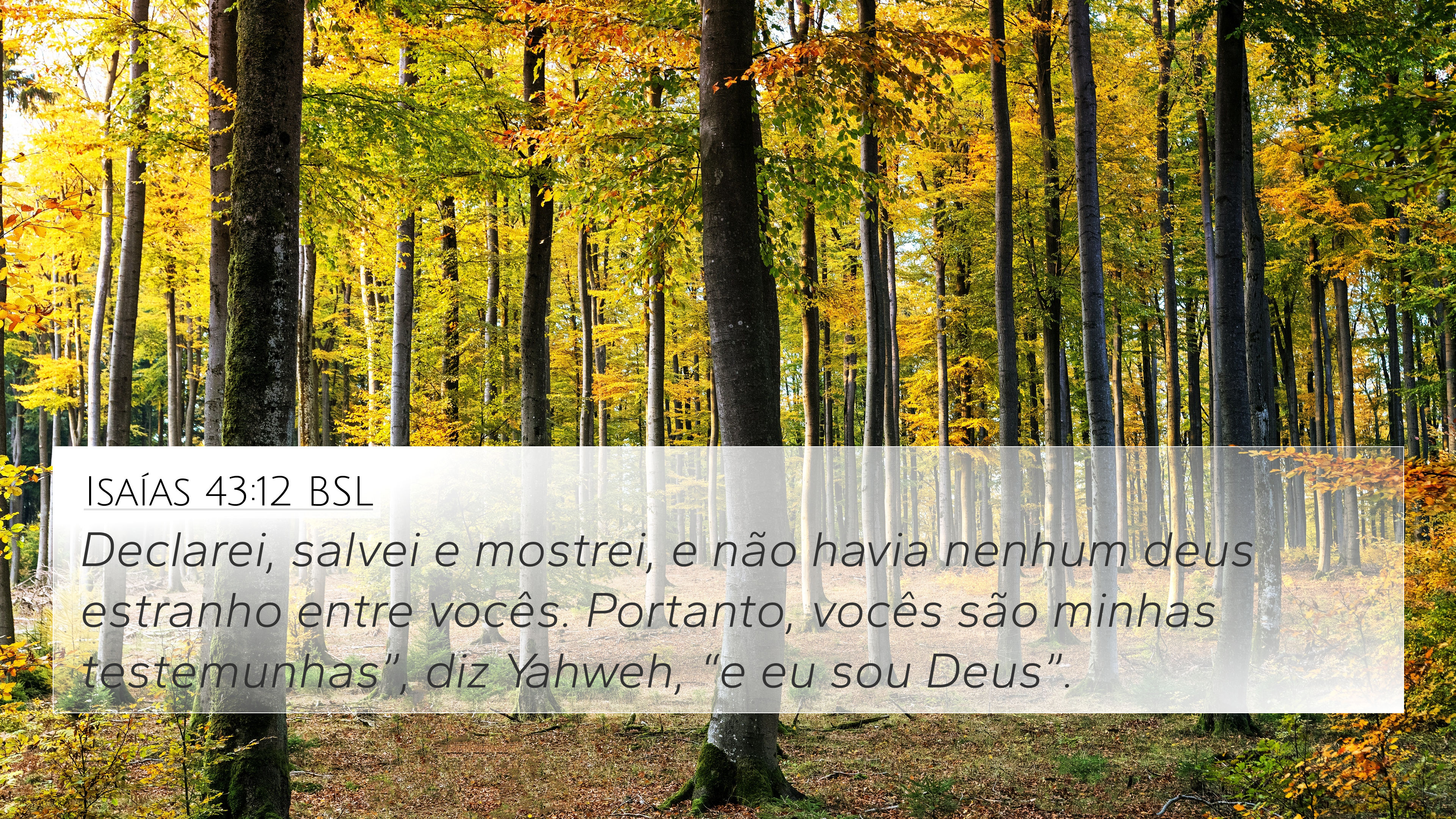 Isaías 43:12 BSL 4K Wallpaper - Declarei, salvei e mostrei, e não havia ...