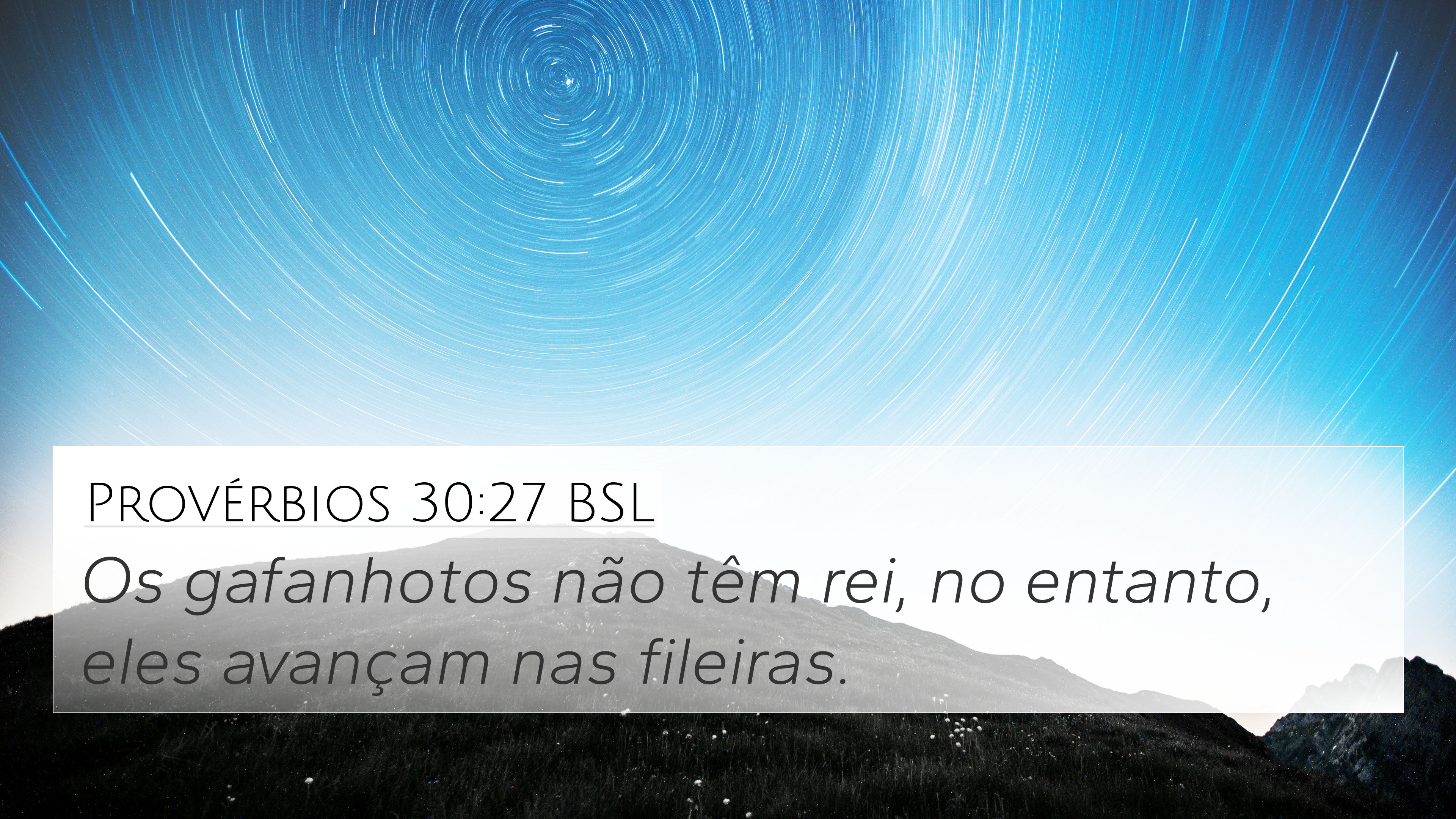 Provérbios 30:27 BSL 4K Wallpaper - Os gafanhotos não têm rei, no ...