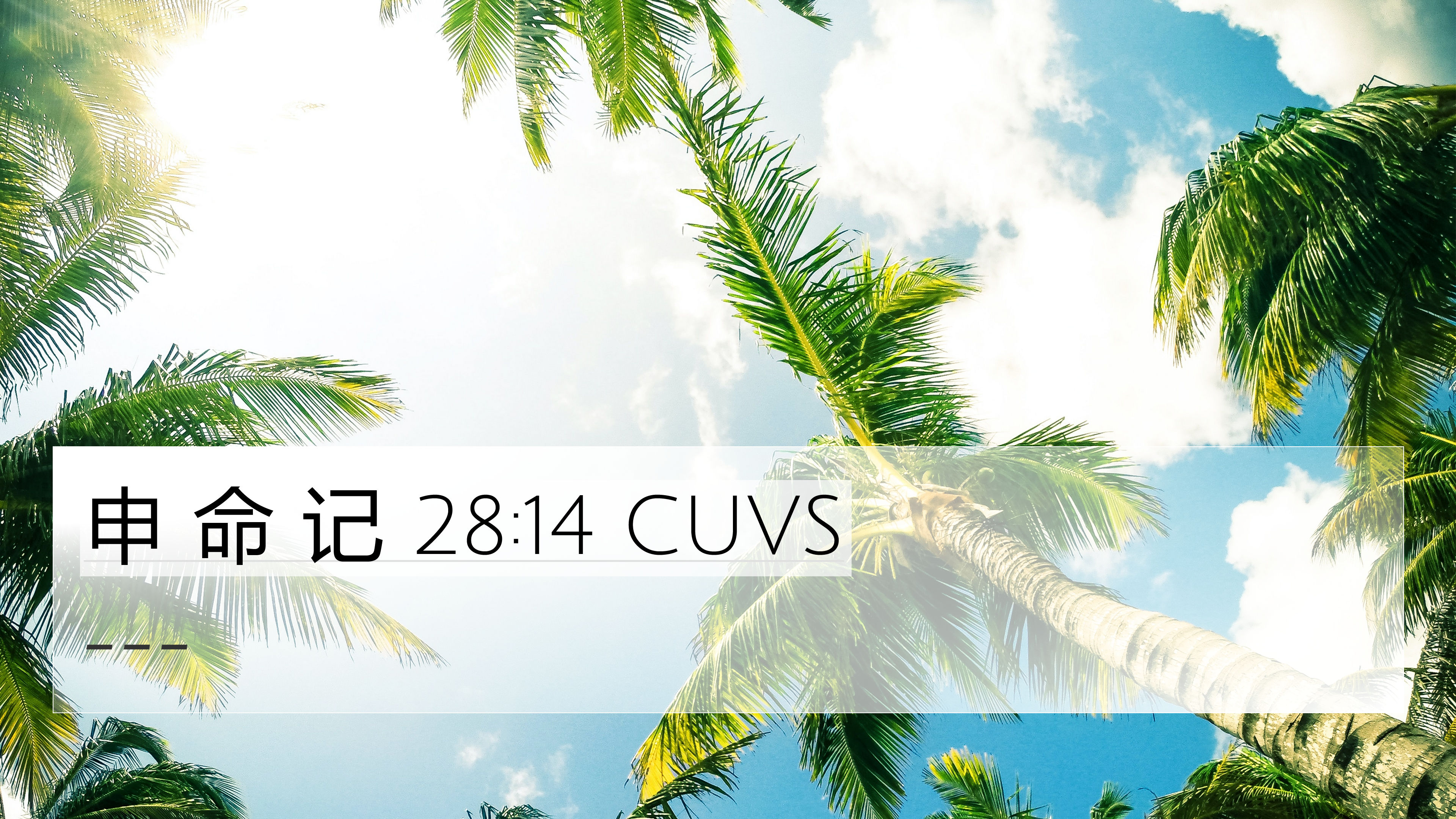 申 命 记 28:14 CUVS 4K Wallpaper