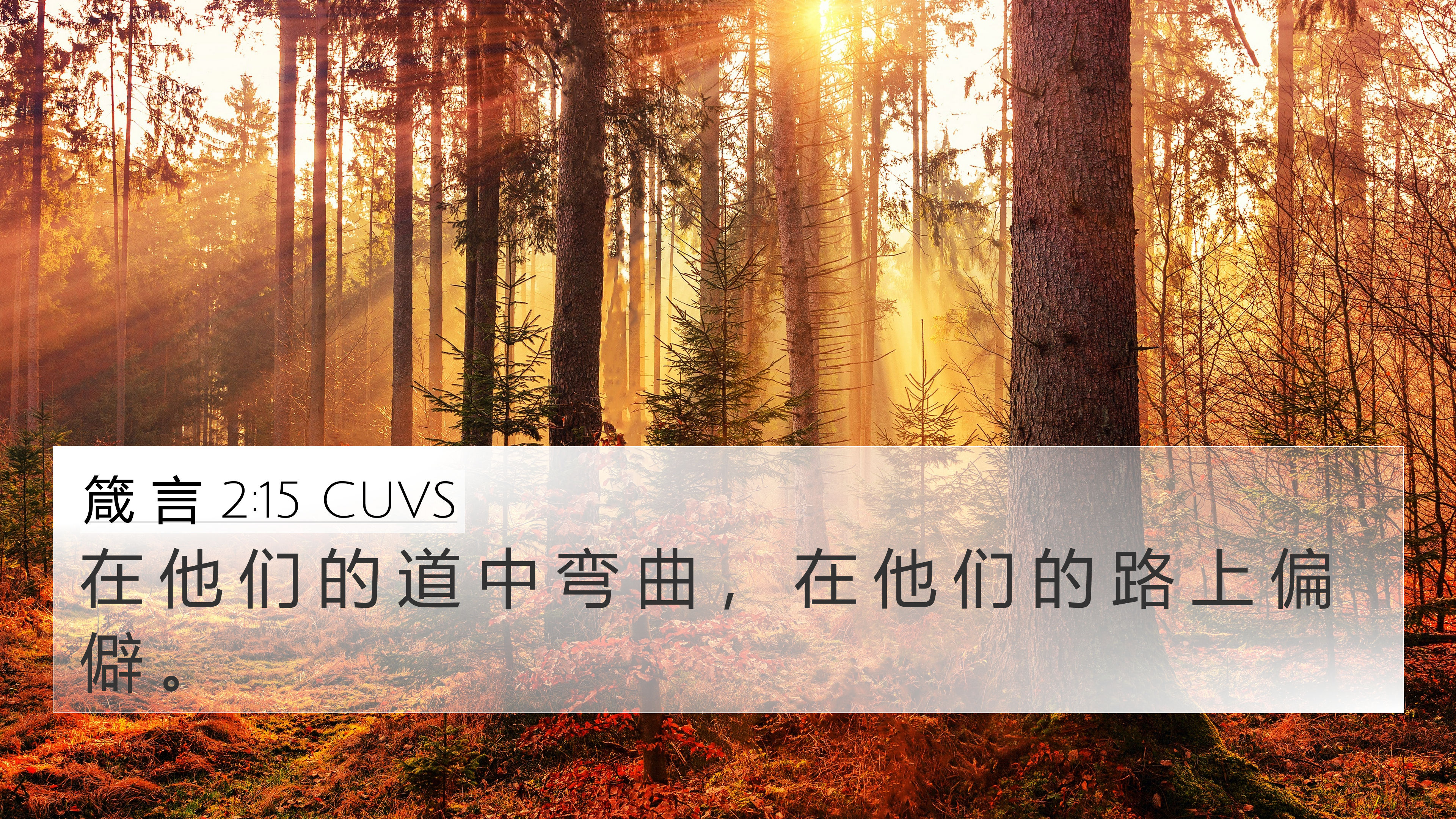 箴 言 2:15 CUVS 4K Wallpaper - 在 他 们 的 道 中 弯 曲 ， 在 他 们