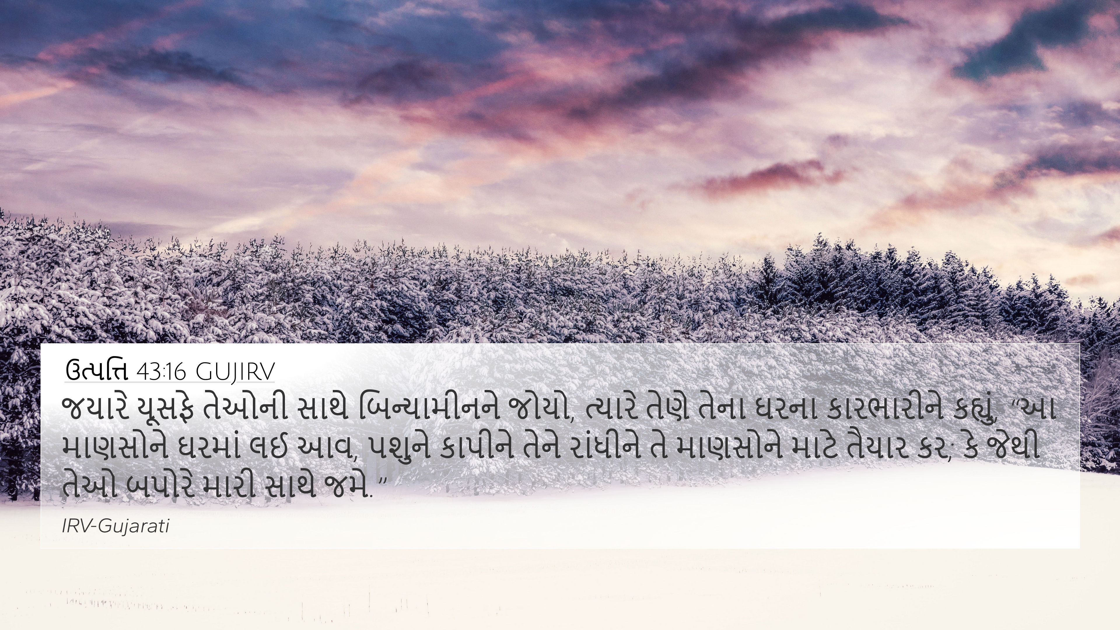 ઉત્પત્તિ 43:16 GUJIRV 4K Wallpaper - જયારે યૂસફે તેઓની