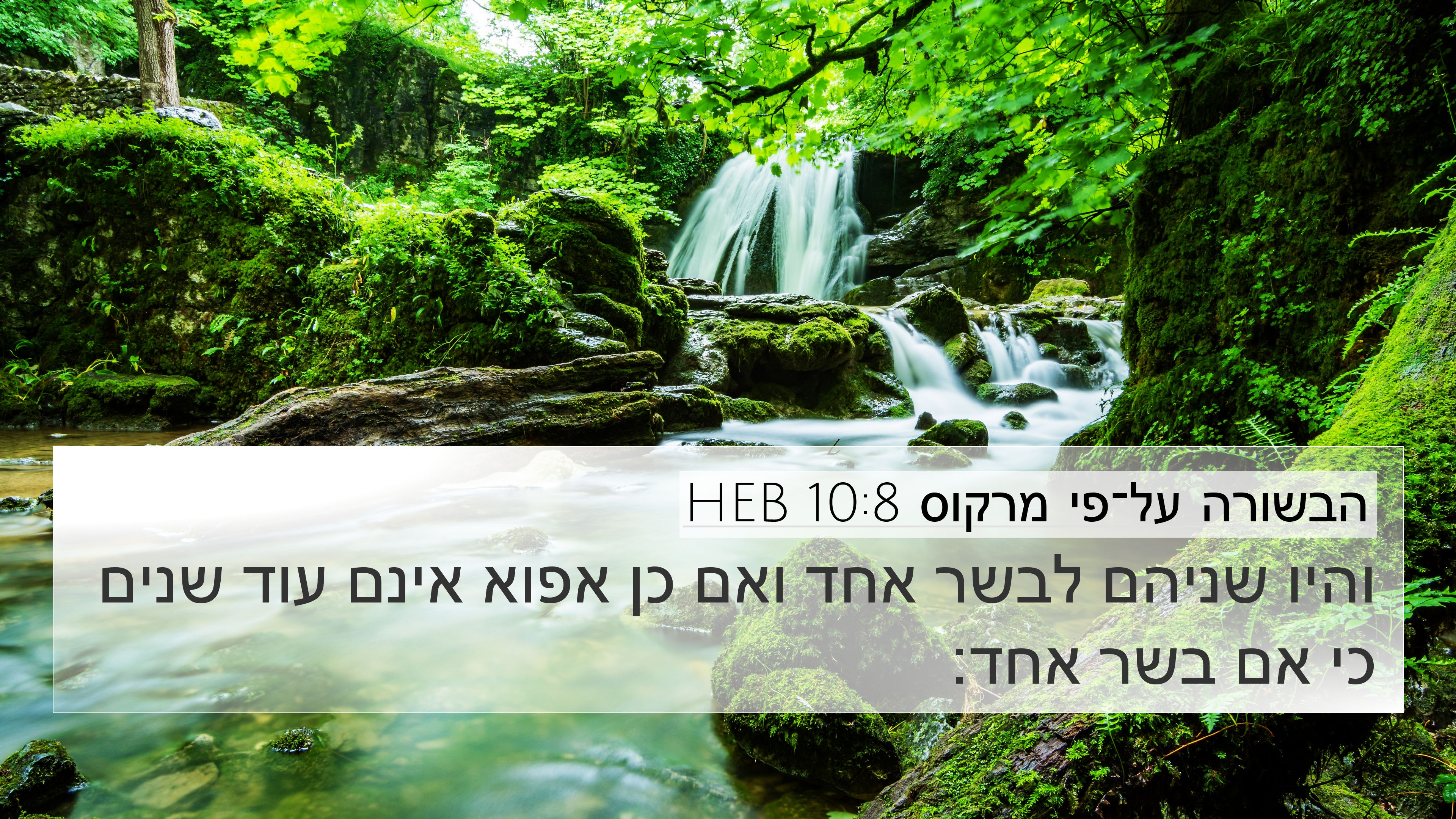הבשורה על־פי מרקוס 10:8 HEB 4K Wallpaper - והיו שניהם לבשר אחד ואם כן