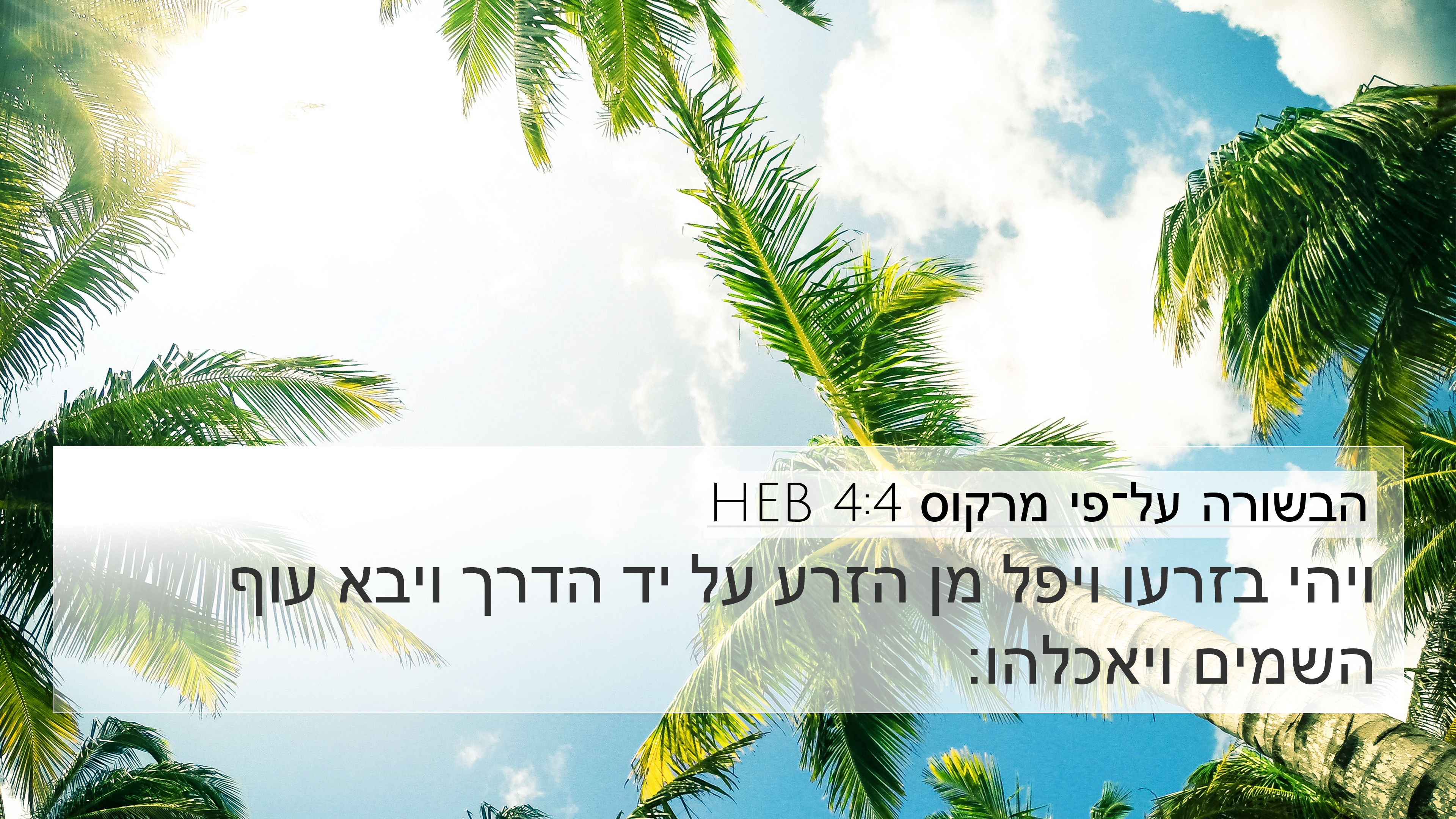 הבשורה על־פי מרקוס 4:4 HEB 4K Wallpaper - ויהי בזרעו ויפל מן הזרע על