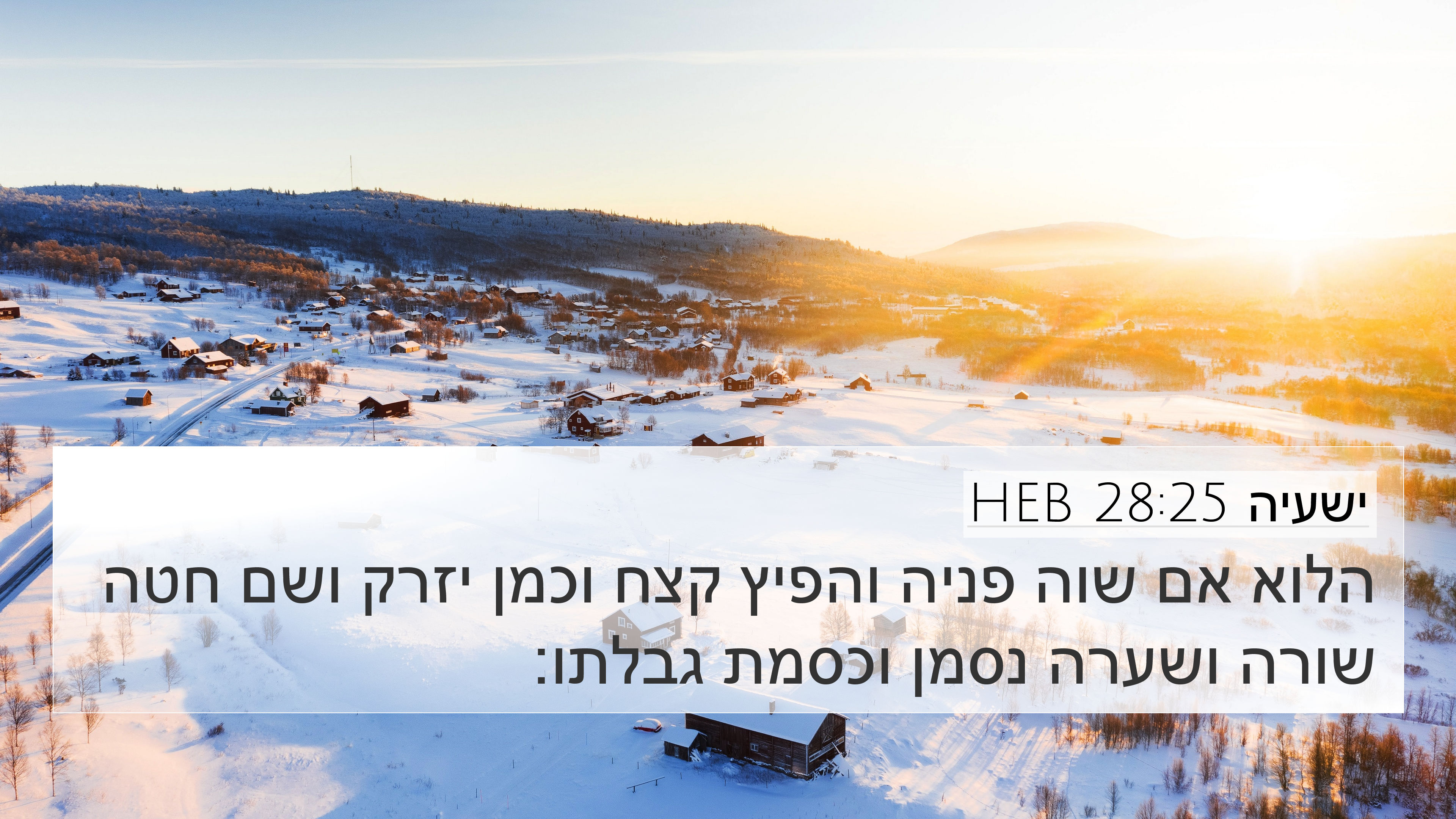 ישעיה 28:25 HEB 4K Wallpaper - הלוא אם שוה פניה והפיץ קצח