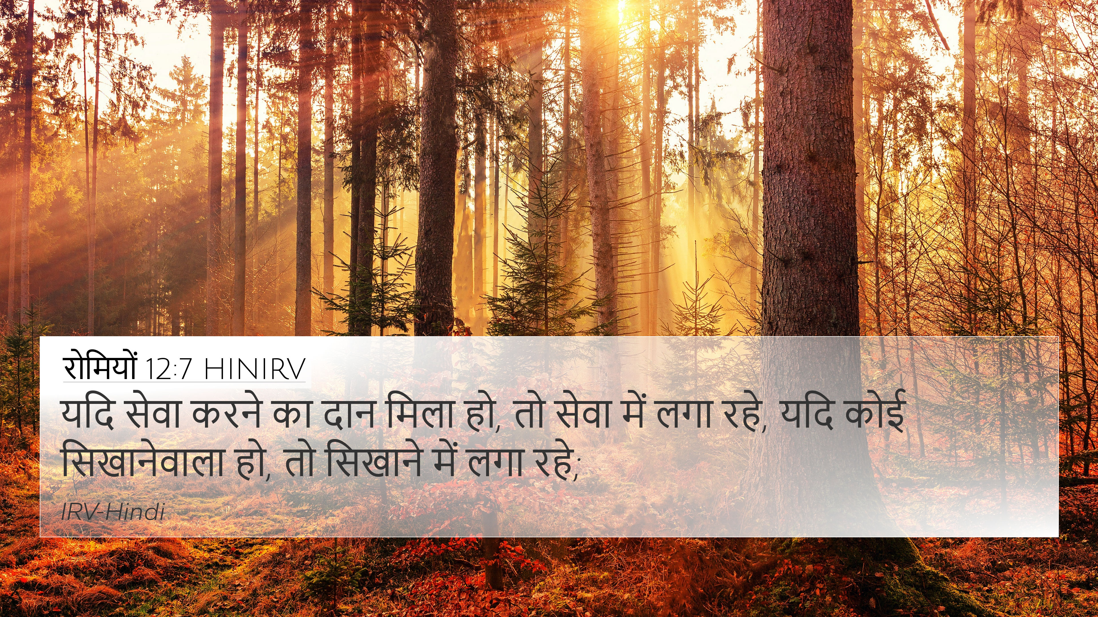 रोमियों 12:7 HINIRV 4K Wallpaper - यदि सेवा करने का