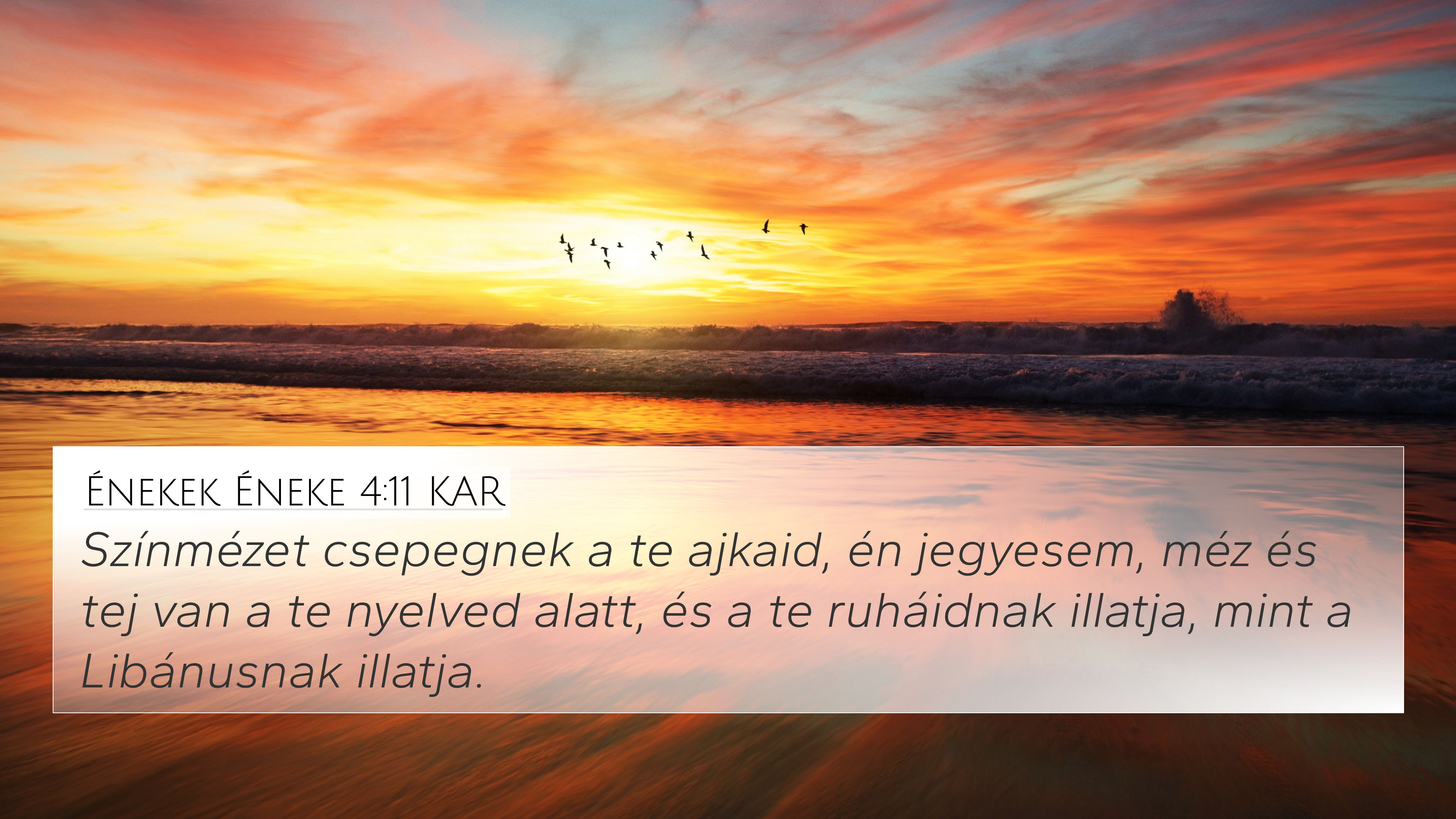 Énekek Éneke 4:11 KAR 4K Wallpaper - Színmézet csepegnek a te ajkaid ...