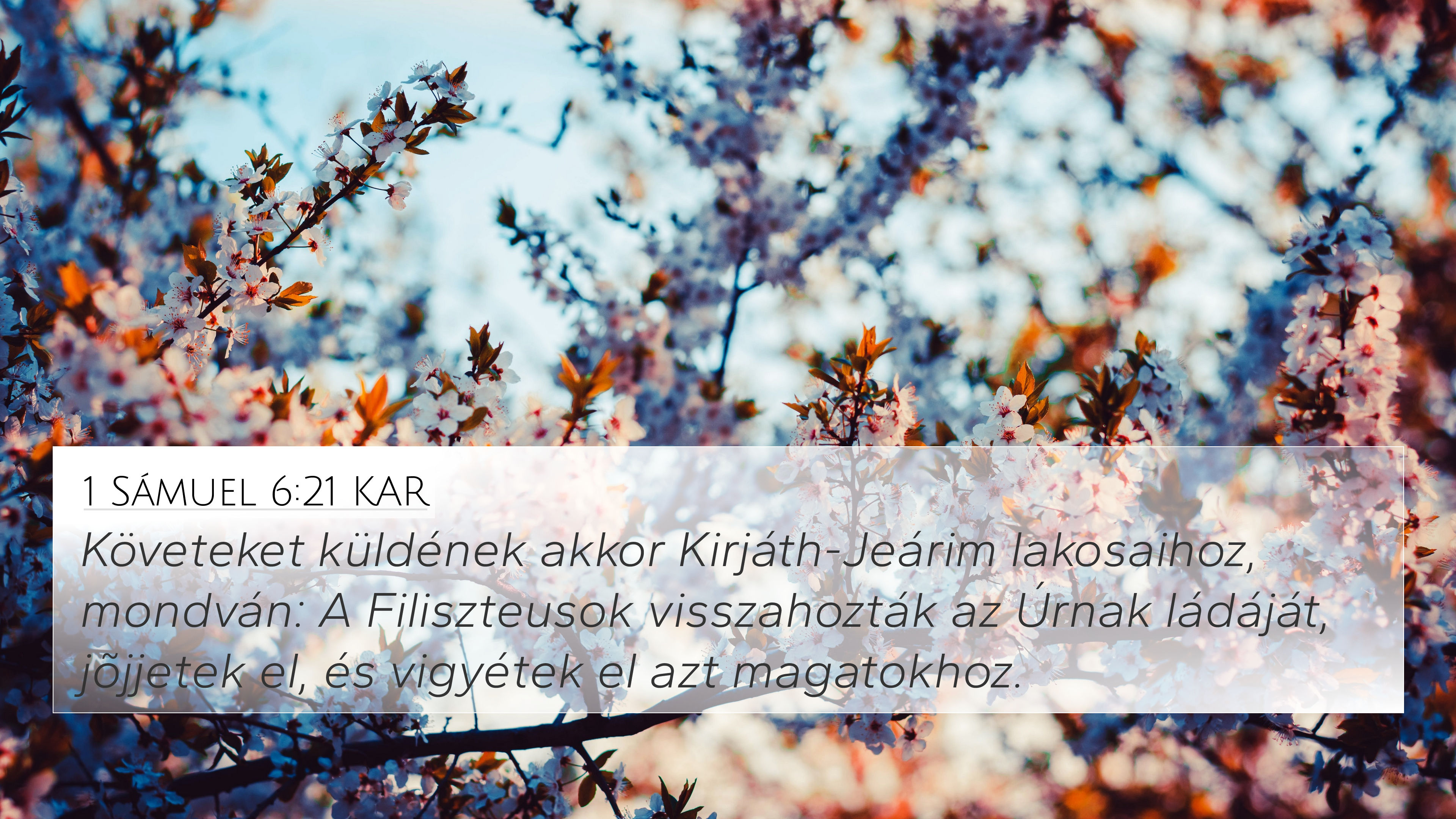 1 Sámuel 6:21 KAR 4K Wallpaper - Követeket küldének akkor Kirjáth-Jeárim