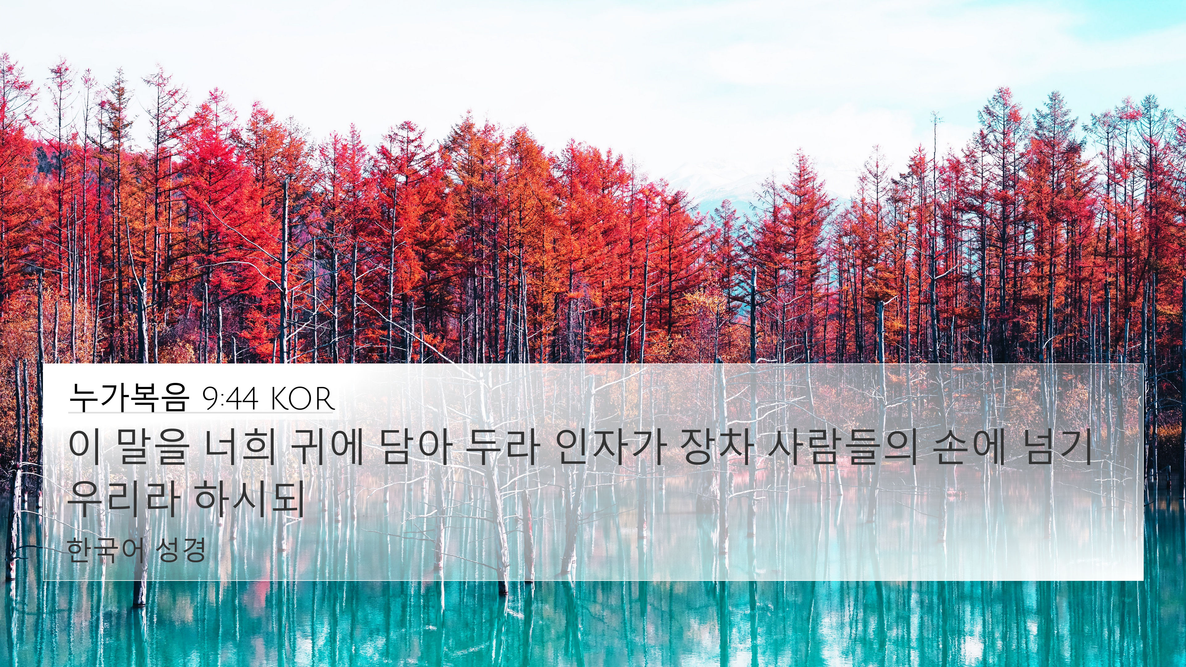 누가복음 9:44 KOR 4K Wallpaper - 이 말을 너희 귀에 담아 두라 인자가