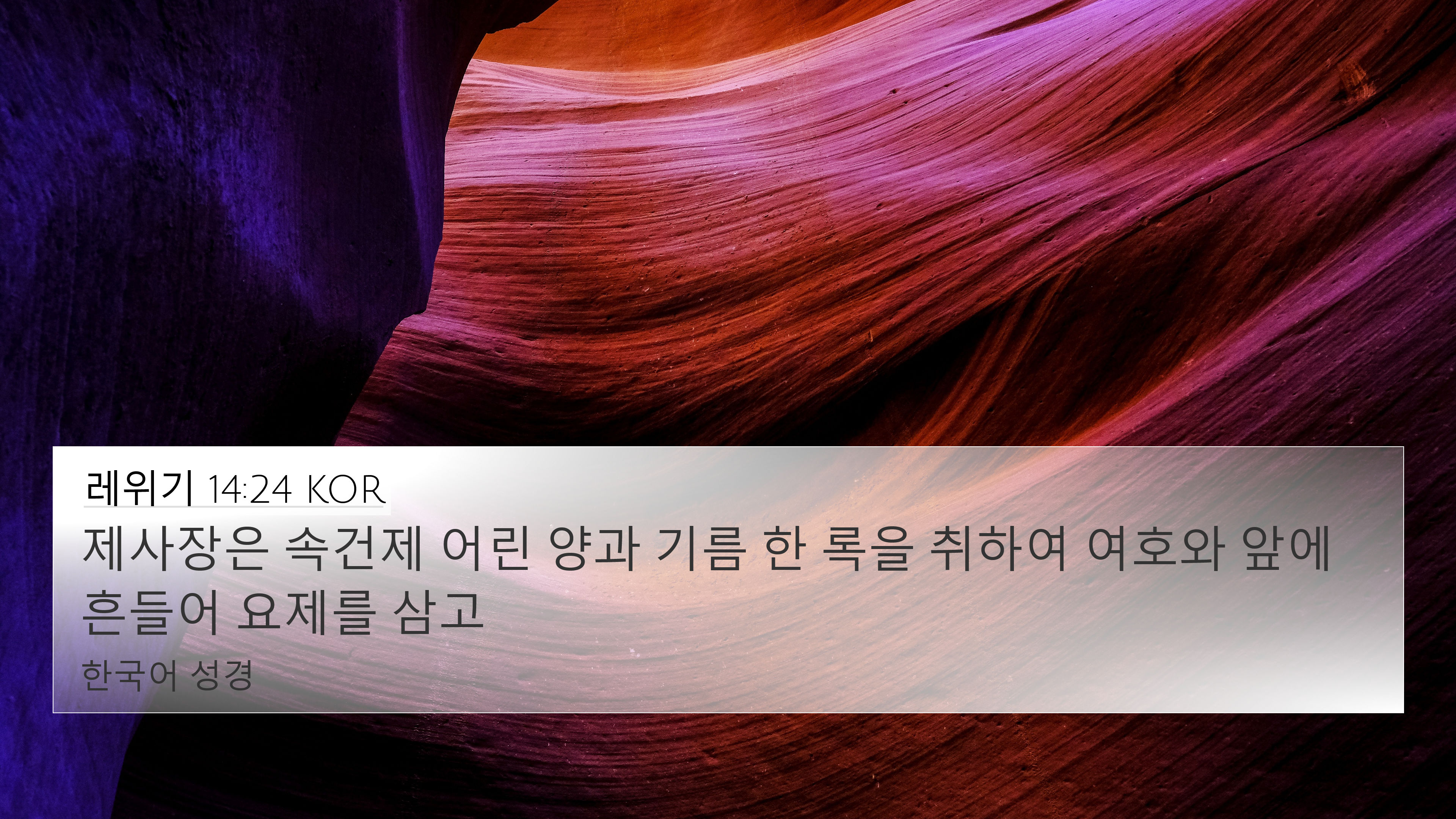 레위기 14:24 KOR 4K Wallpaper - 제사장은 속건제 어린 양과 기름 한