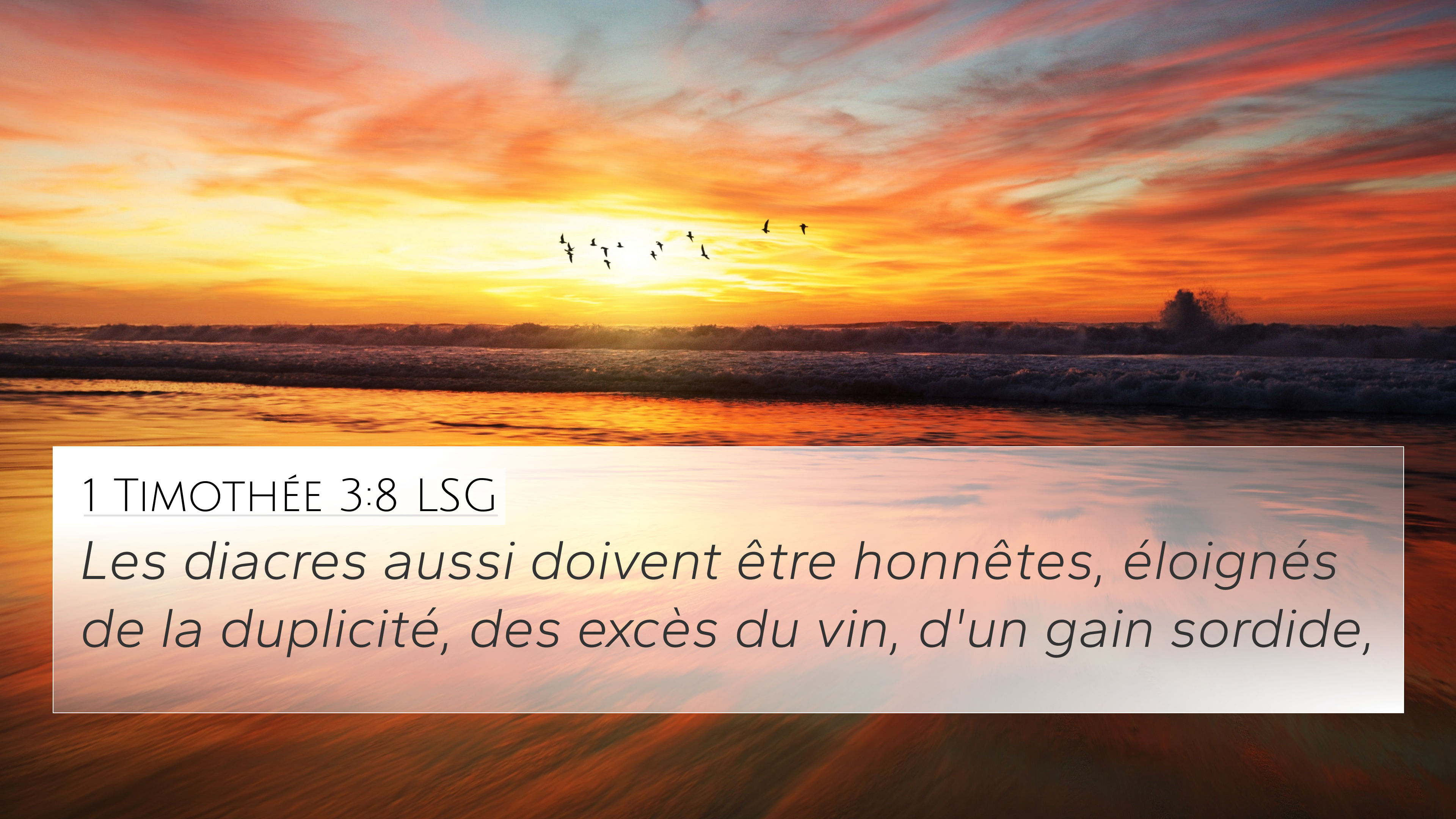 1 Timothée 3:8 LSG 4K Wallpaper - Les diacres aussi doivent être honnêtes,