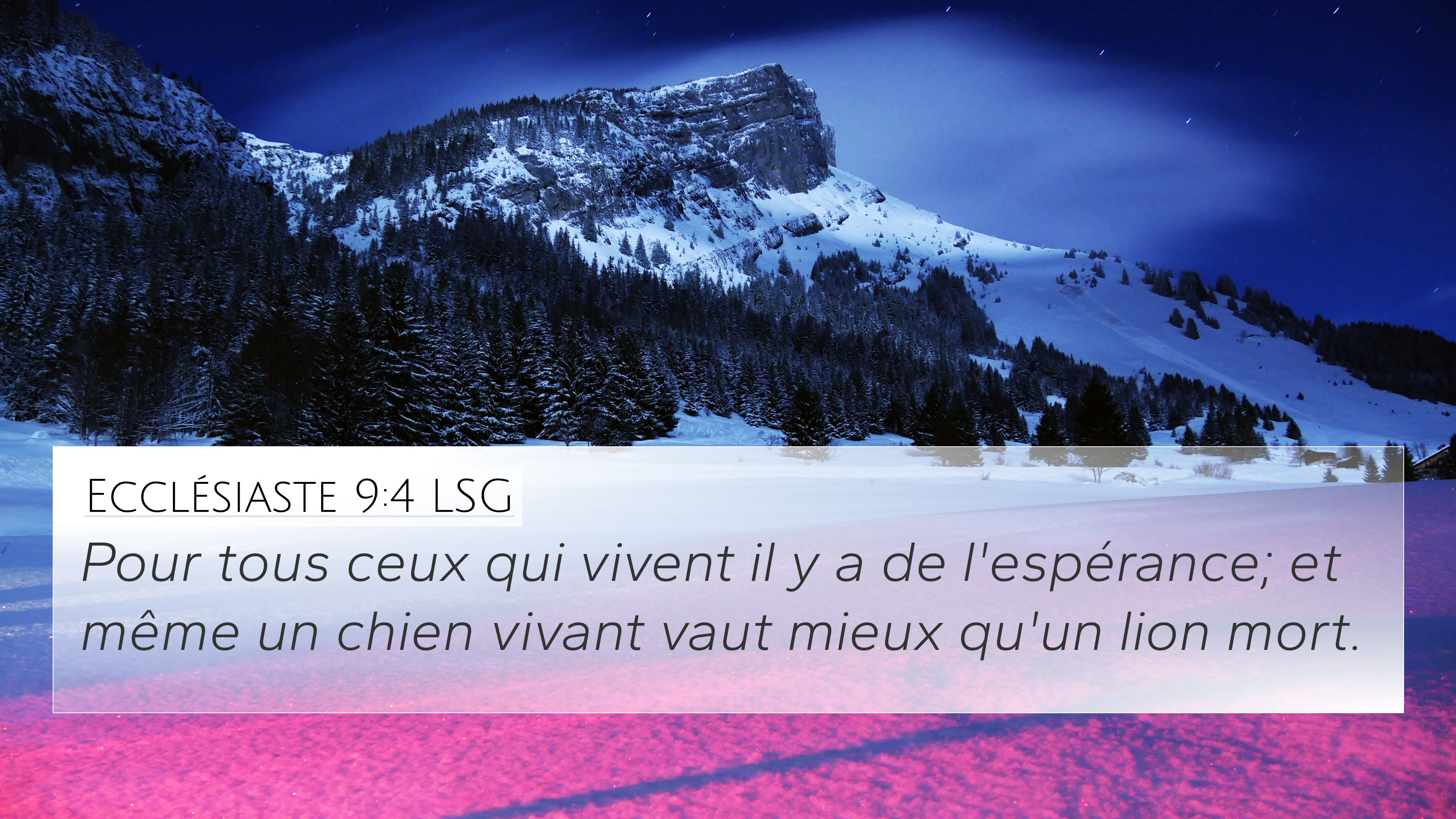 Ecclésiaste 9:4 LSG 4K Wallpaper - Pour tous ceux qui vivent il y a de ...