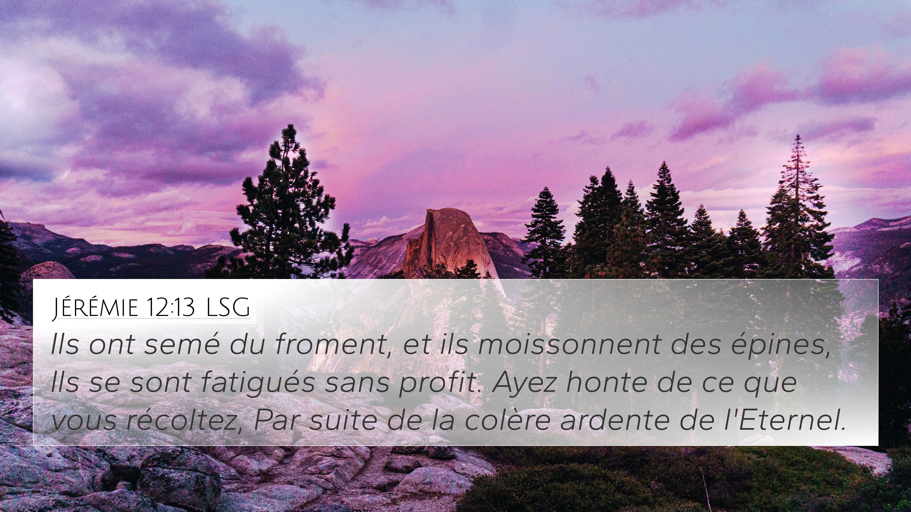 Jérémie 12:13 LSG 4K Wallpaper - Ils ont semé du froment, et ils ...
