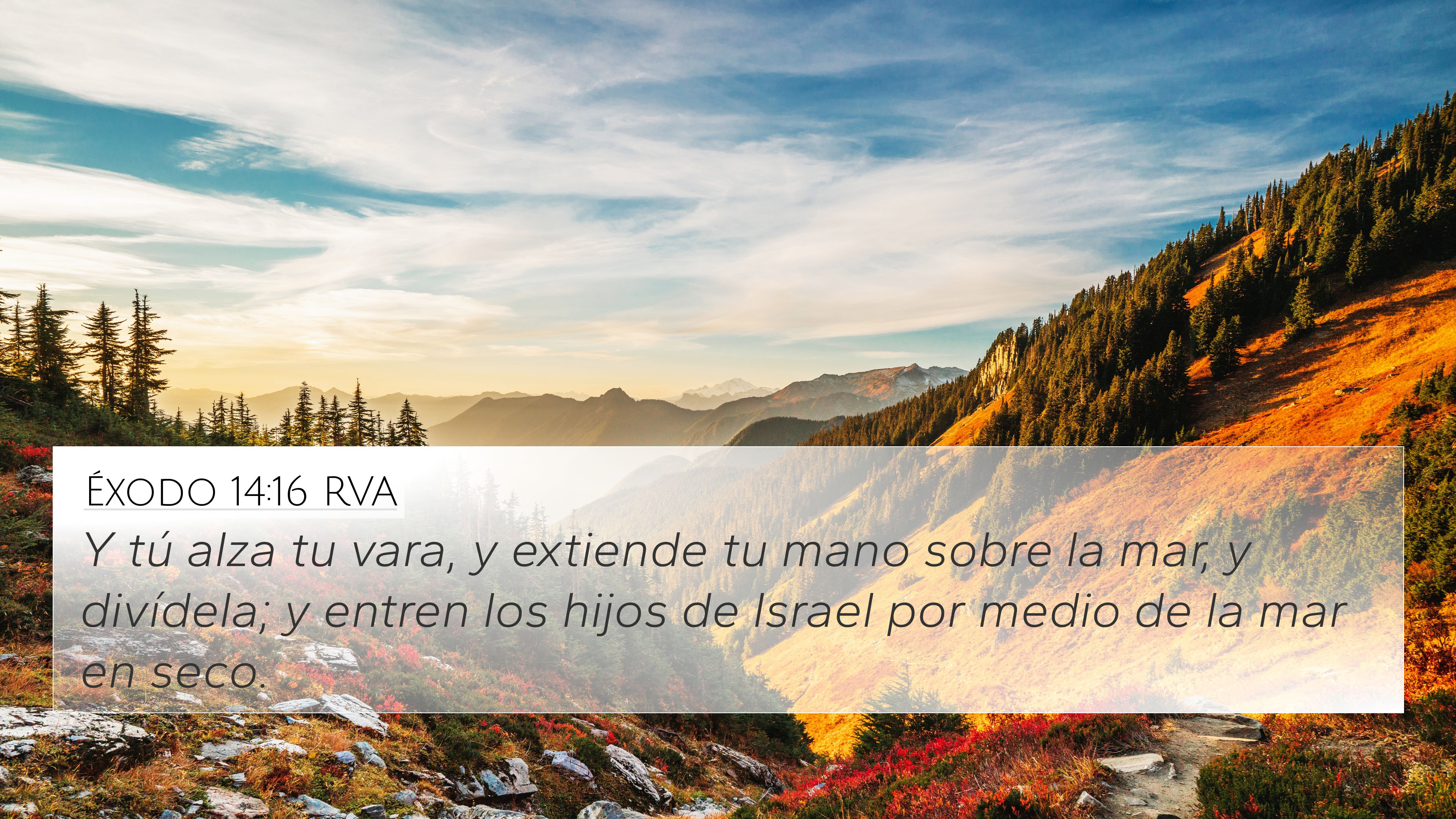 Éxodo 14:16 RVA 4K Wallpaper - Y tú alza tu vara, y extiende tu mano ...