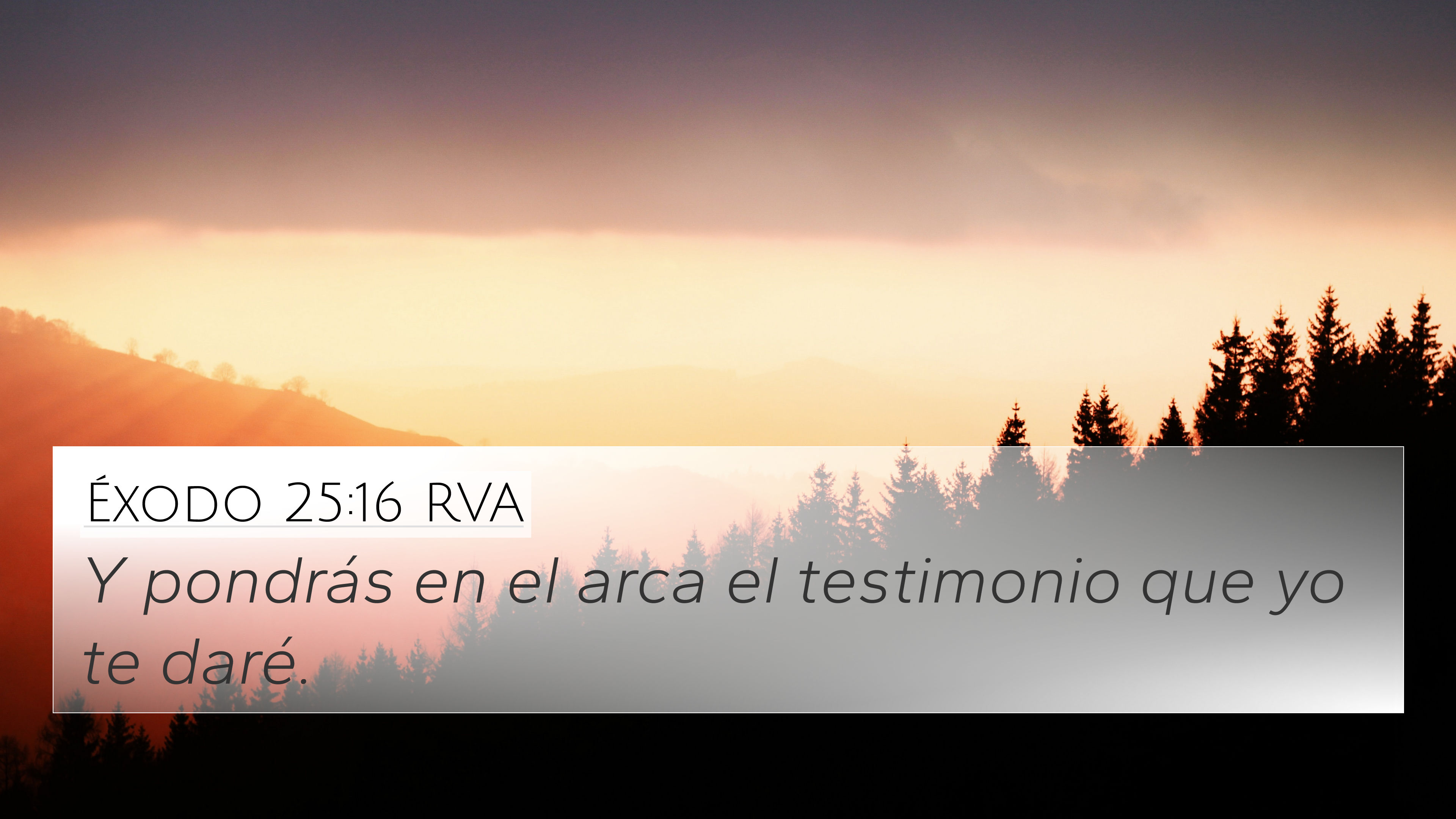 Éxodo 25:16 RVA 4K Wallpaper - Y pondrás en el arca el testimonio que yo te