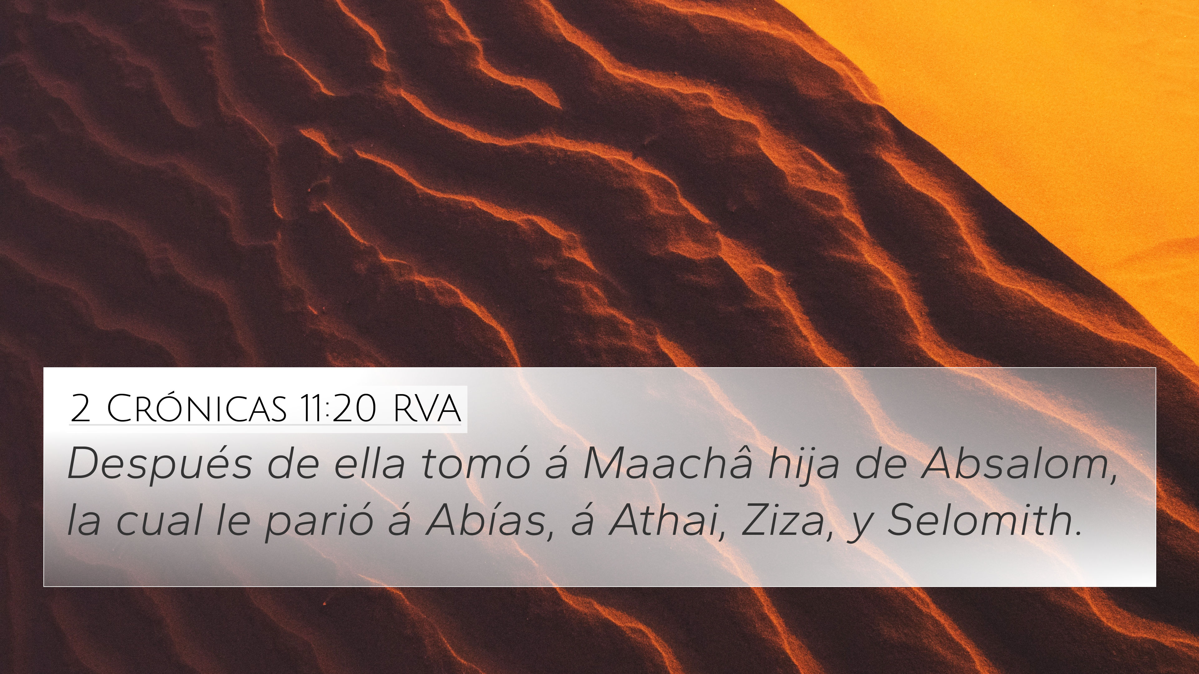 2 Crónicas 11:20 RVA 4K Wallpaper - Después de ella tomó á Maachâ hija de