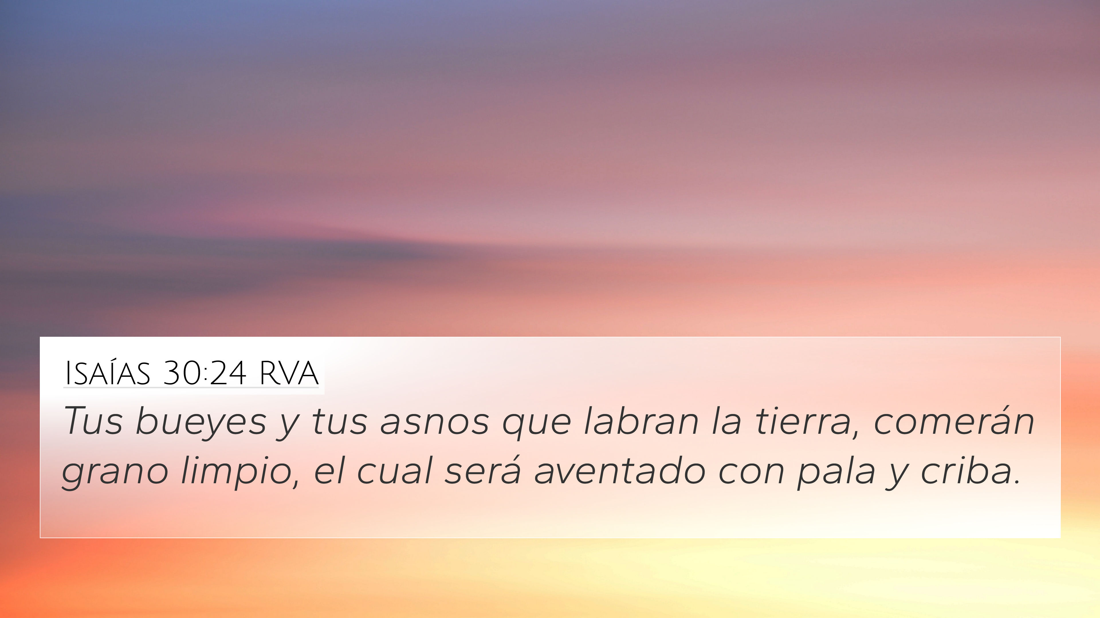 Isaías 30:24 RVA 4K Wallpaper - Tus bueyes y tus asnos que labran la ...