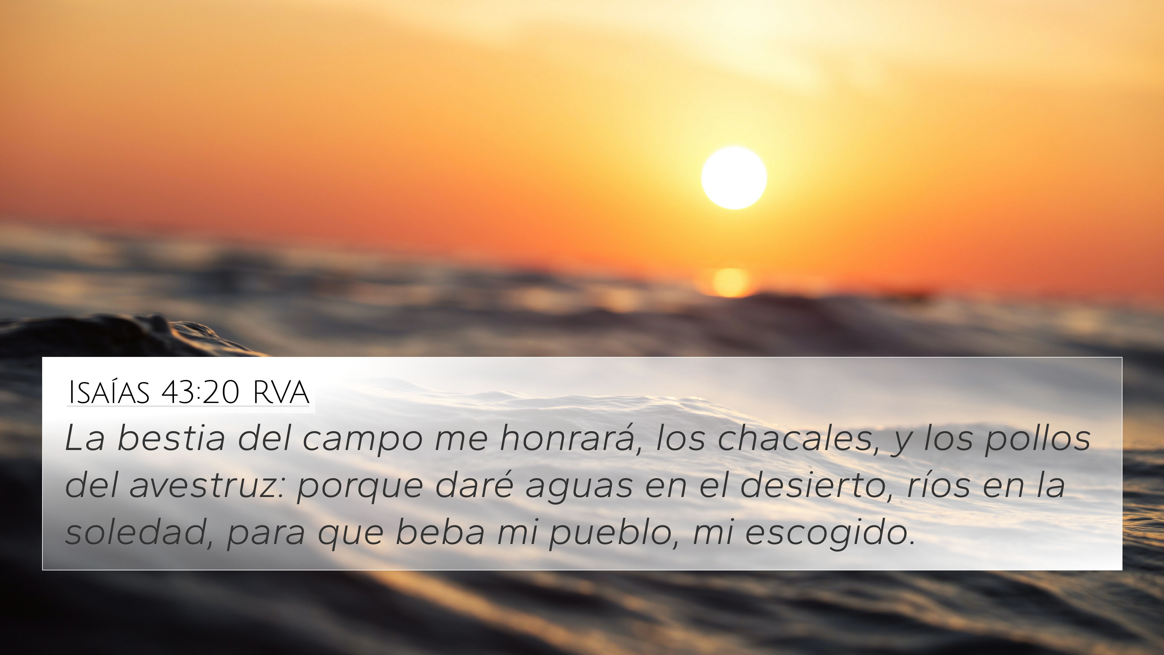 Isaías 43:20 RVA 4K Wallpaper - La bestia del campo me honrará, los ...