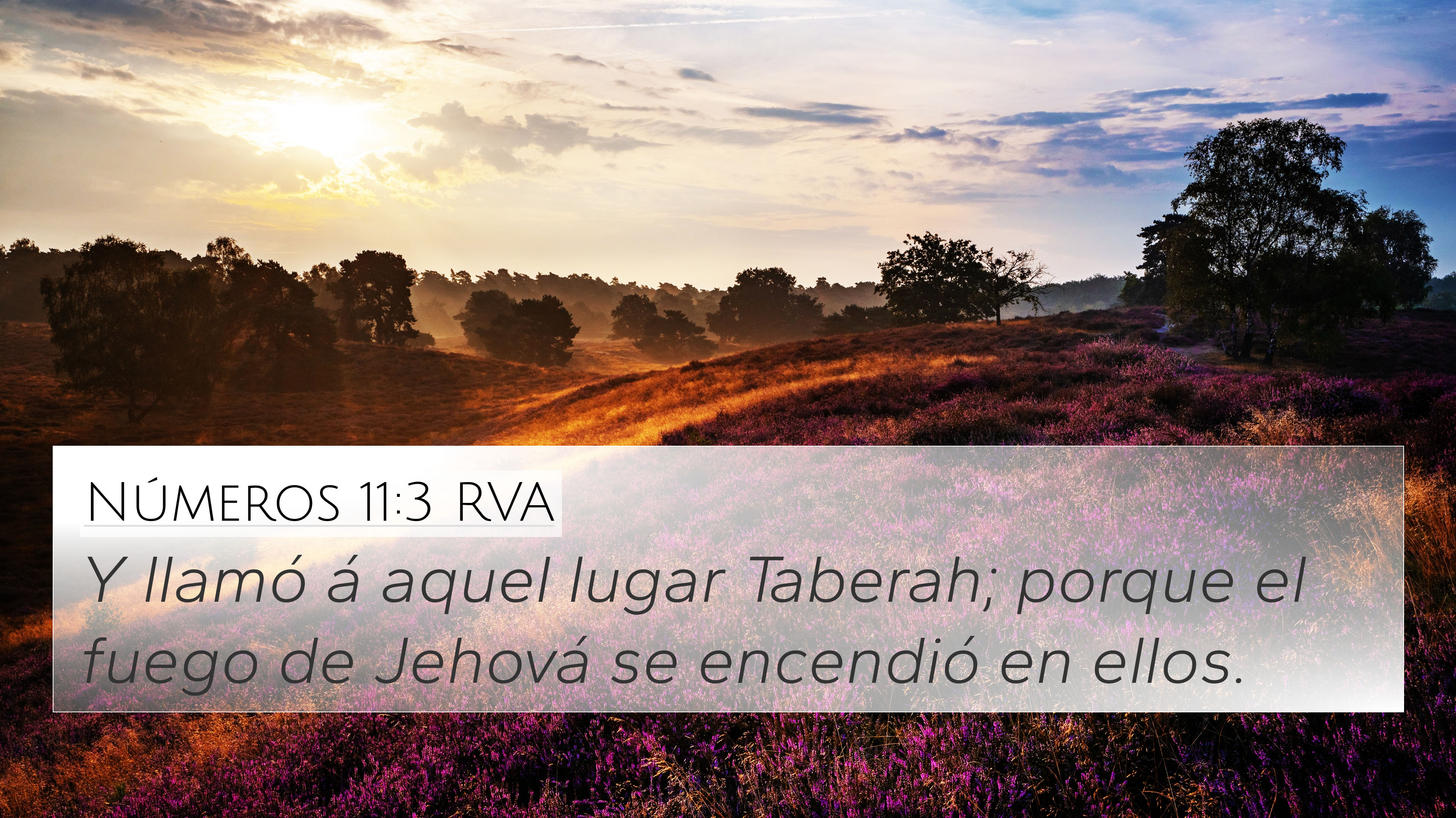 Números 11:3 RVA 4K Wallpaper - Y llamó á aquel lugar Taberah; porque ...