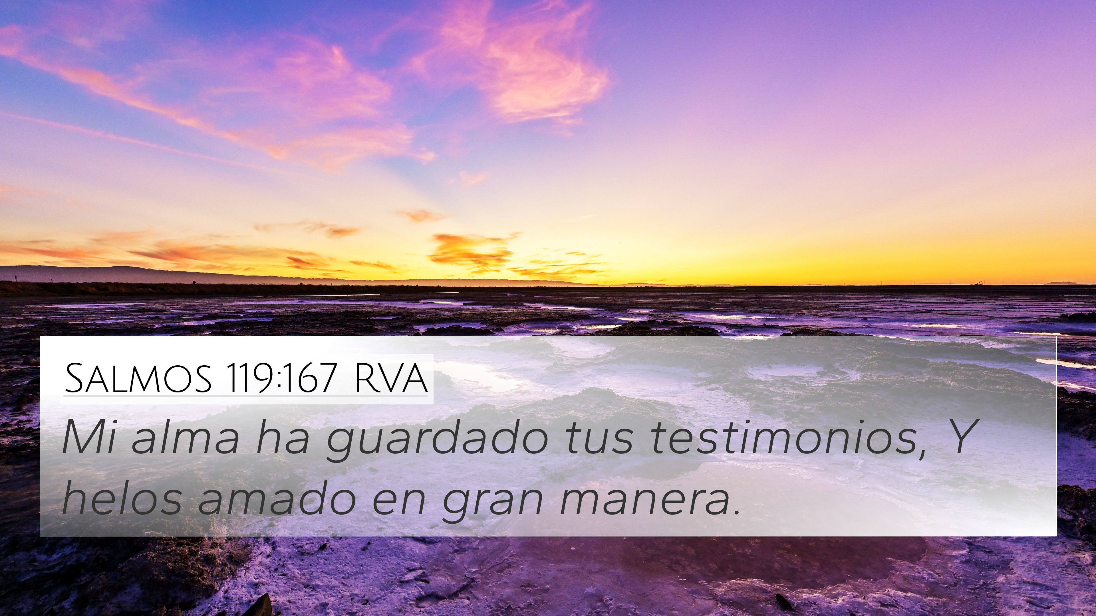 Salmos 119 167 RVA 4K Wallpaper Mi Alma Ha Guardado Tus Testimonios Salmos 119 167 RVA 4K Wallpaper Mi Alma Ha Guardado Tus Testimonios