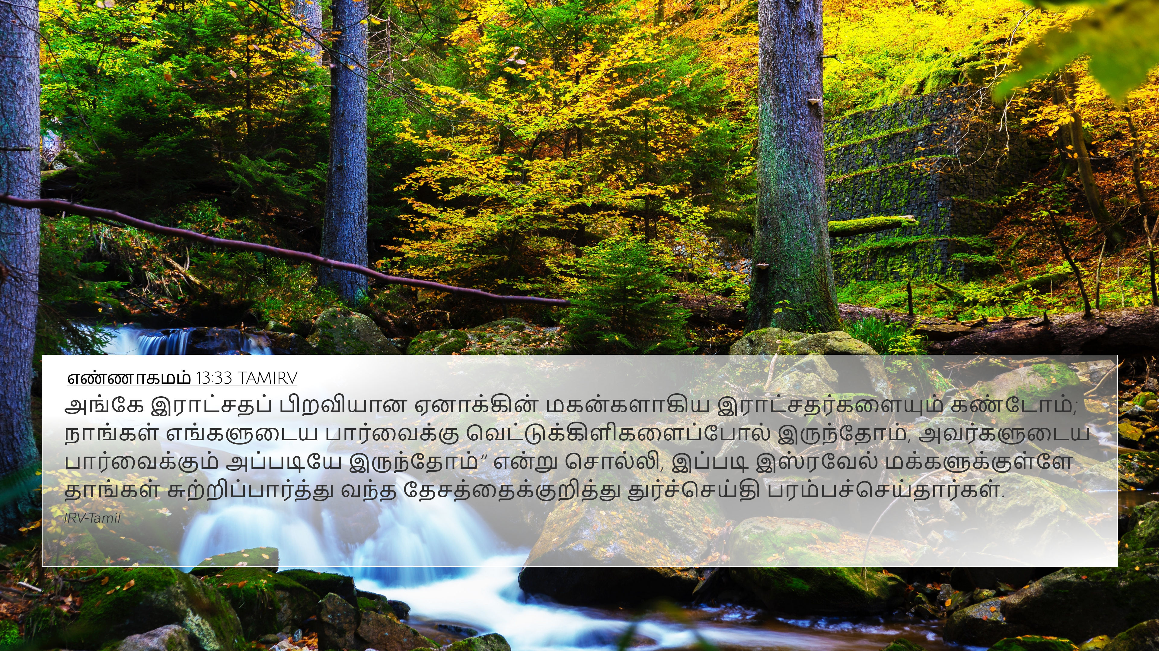 எண்ணாகமம் 13:33 TAMIRV 4K Wallpaper - அங்கே இராட்சதப்